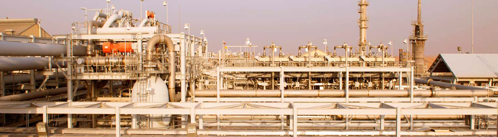 Our Organisation 1 - Dubai Supply Authority (DUSUP)